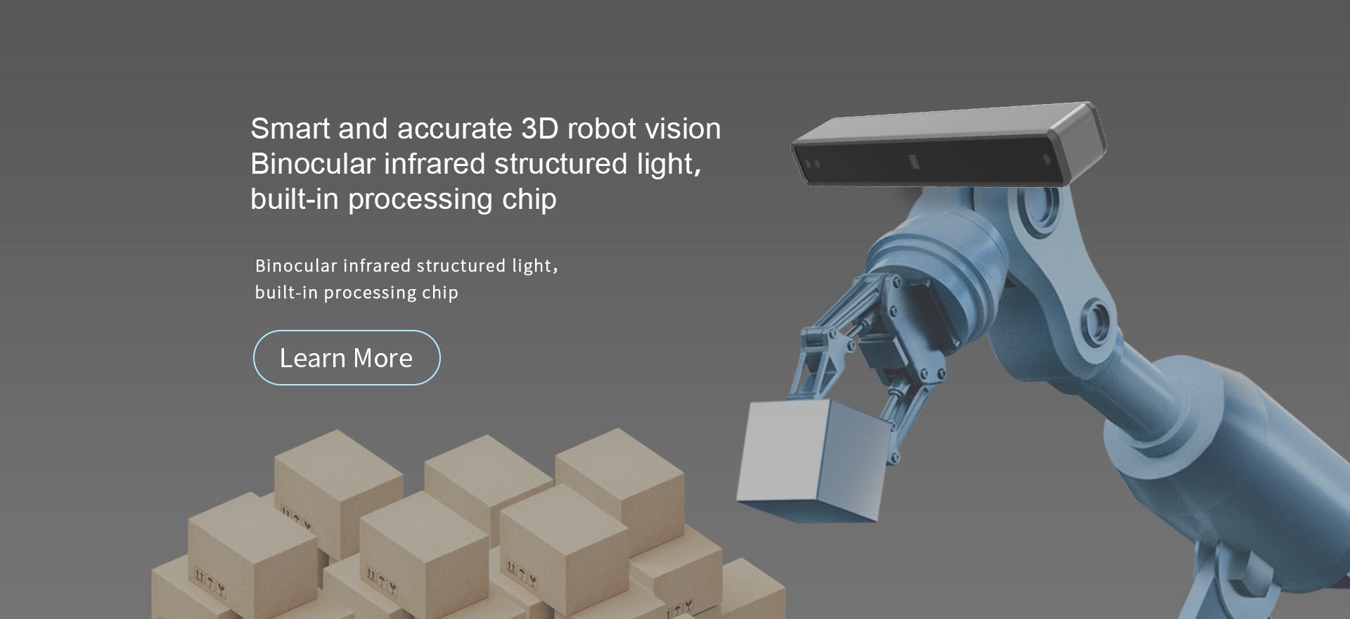 Industrial 3D Camera_3D Depth Camera_Smart Robot Eyes-Revopoint